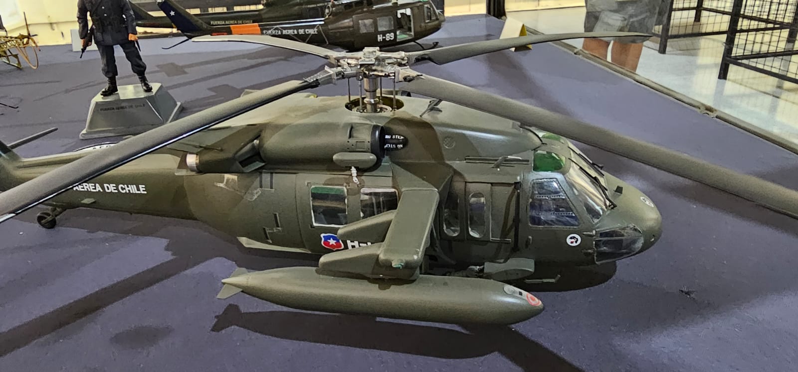 Home - I.P.M.S. CHILE