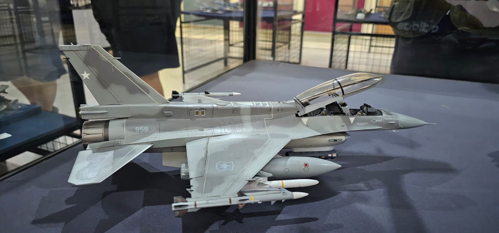 Home - I.P.M.S. CHILE